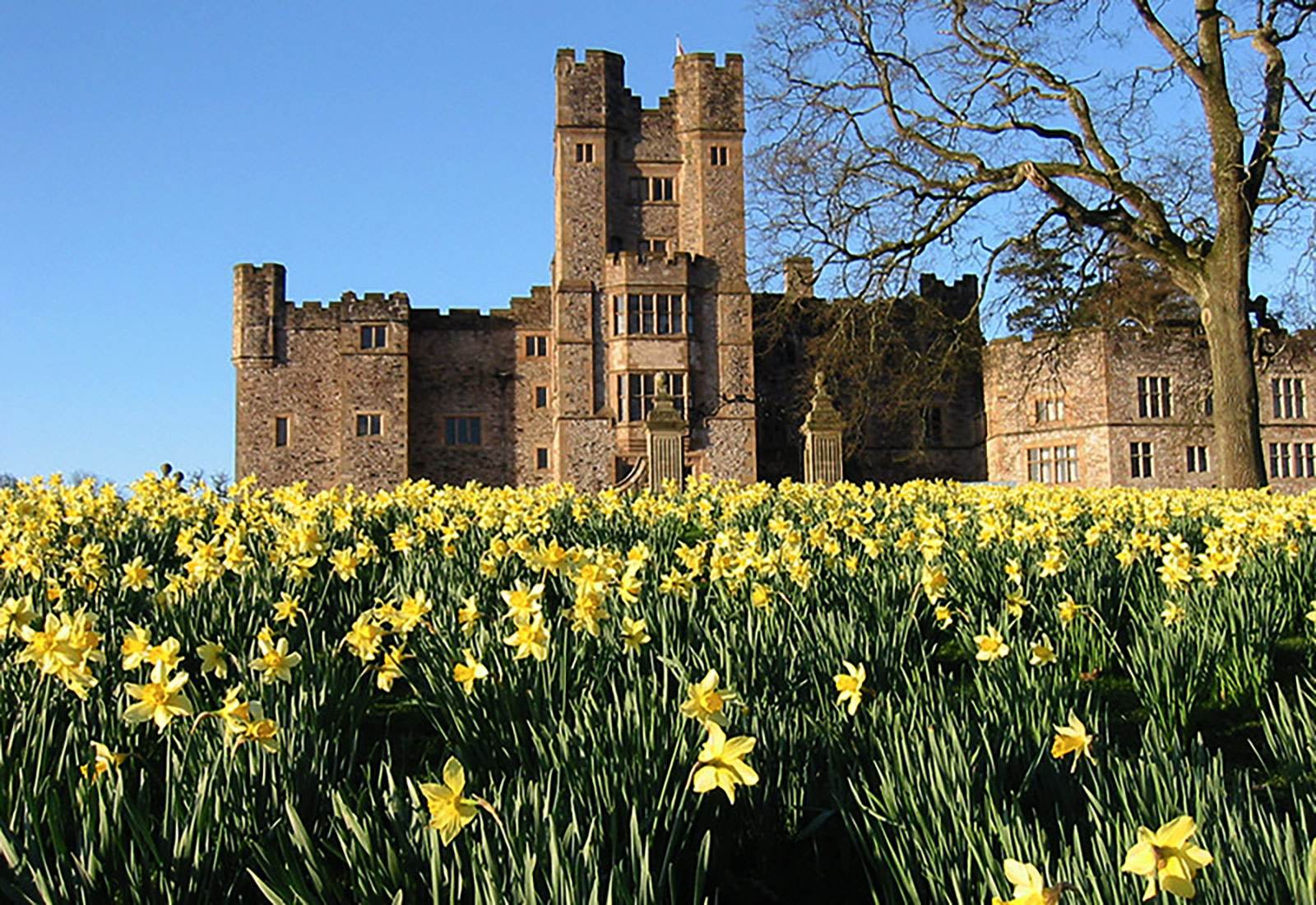 Audley Flete House Retirement Villages - Devon | Audley Villages