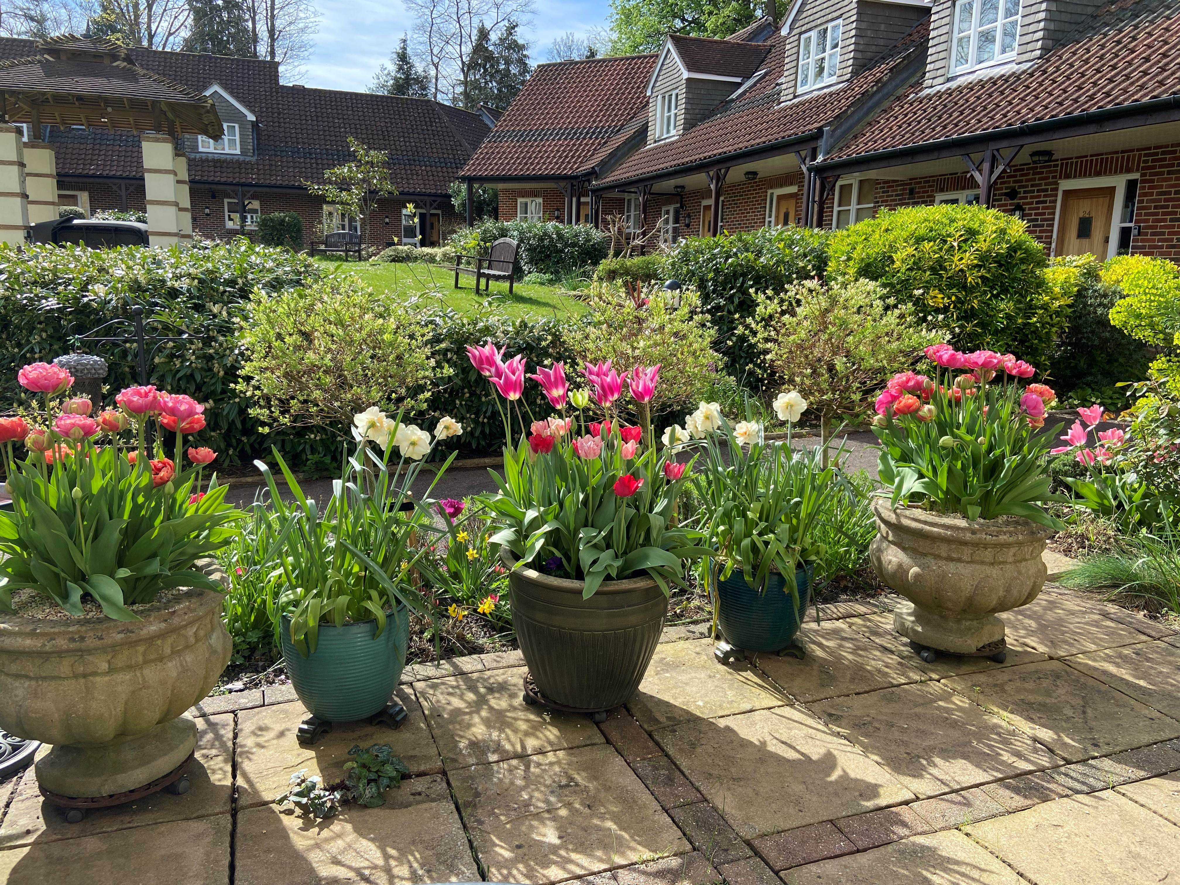 Spring has sprung | Audley Villages