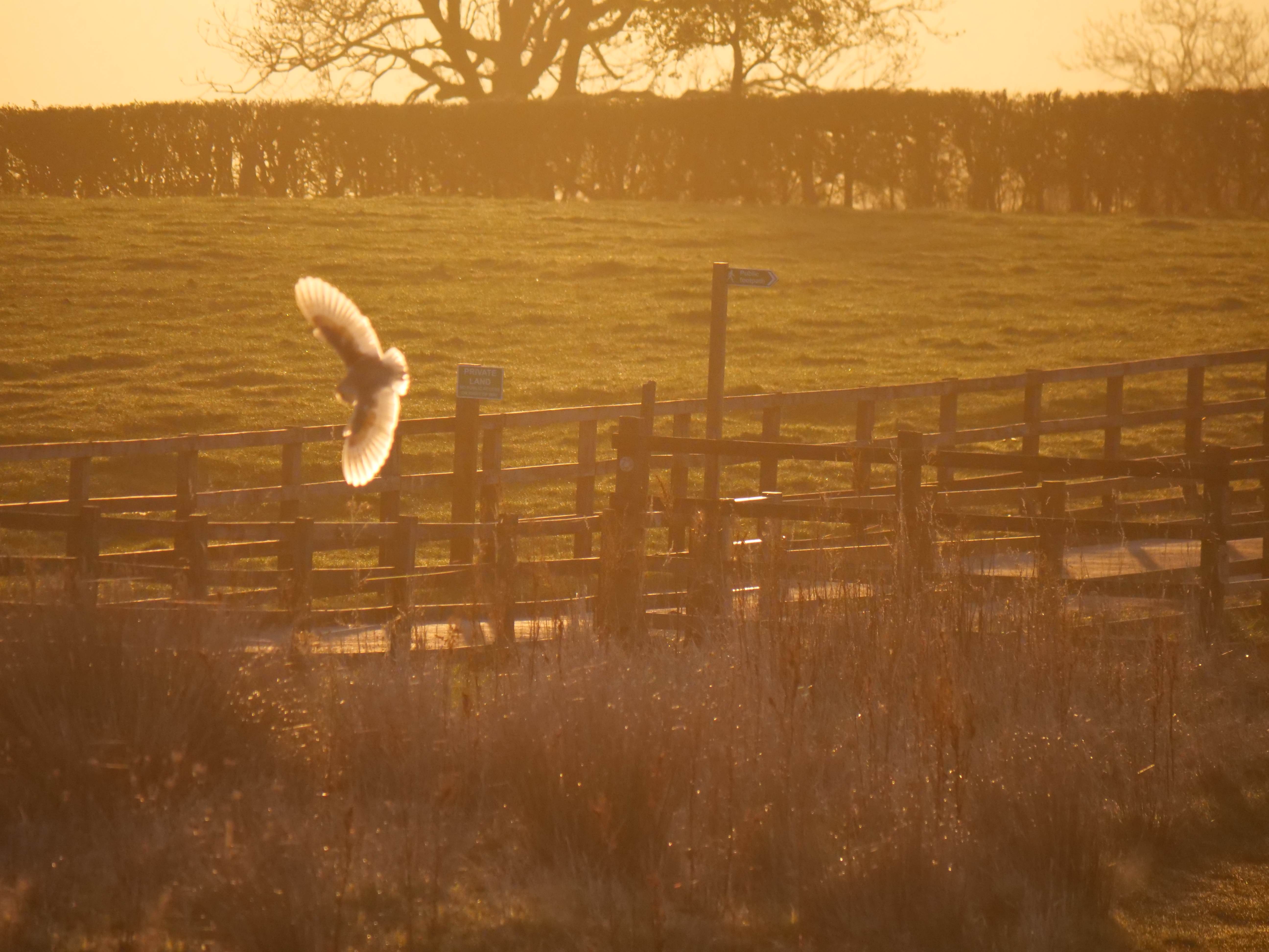 The Best Golden Hour Locations: Top Scenic Locations