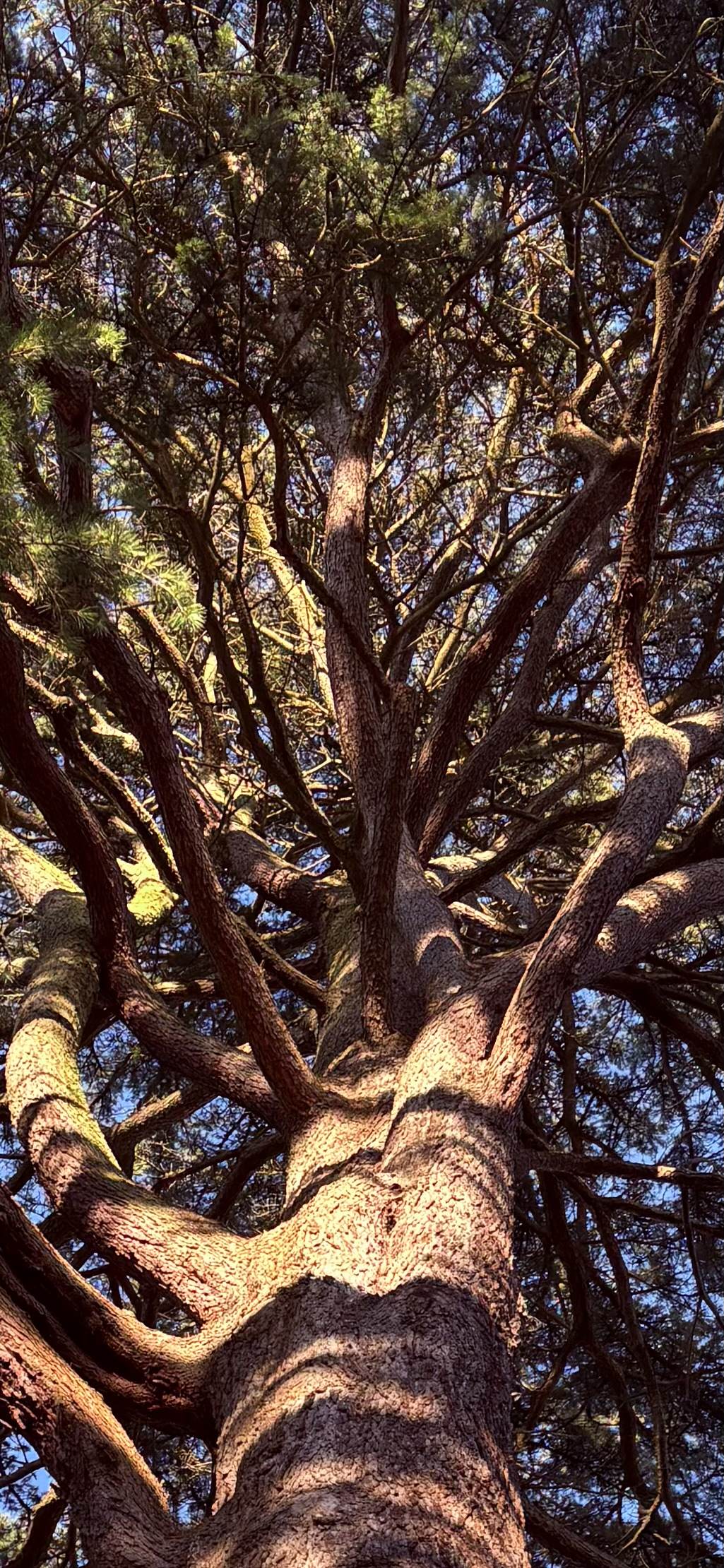 The Best Golden Hour Locations: Top Scenic Locations to Experience