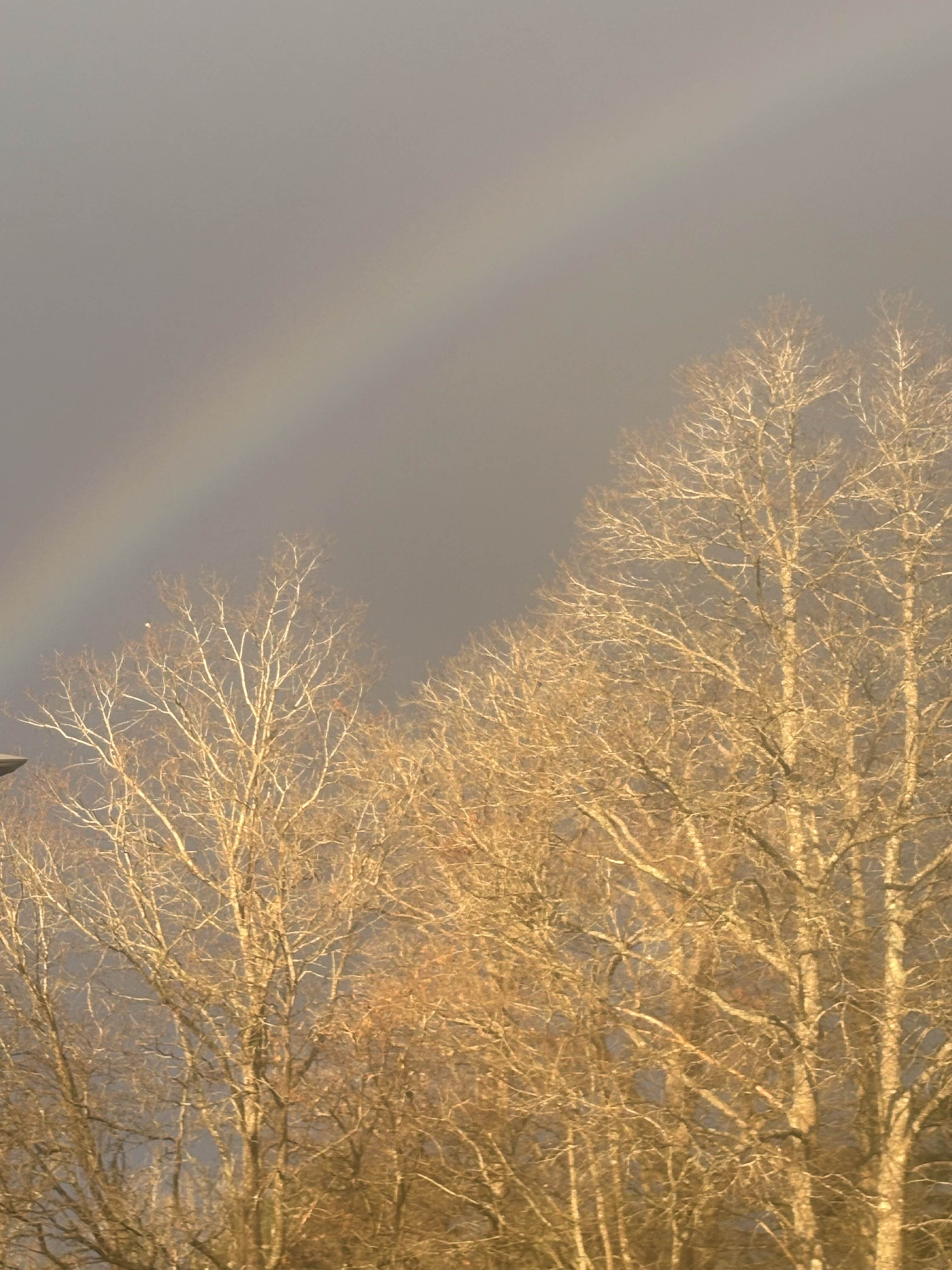 The Best Golden Hour Locations: Top Scenic Locations to Experience