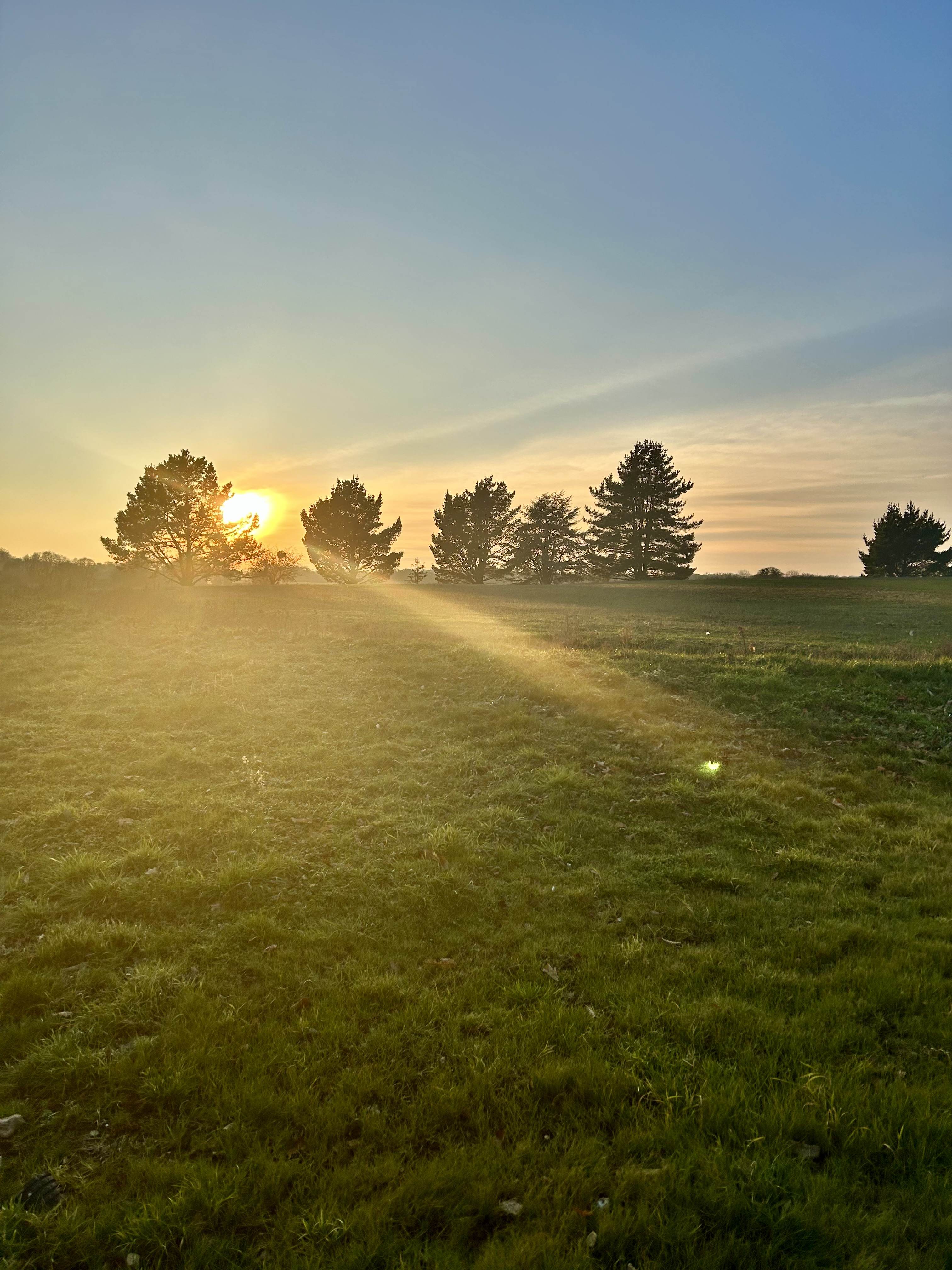 The Best Golden Hour Locations: Top Scenic Locations