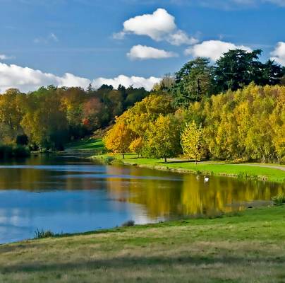 Explore Cobham | Audley Fairmile Local Area