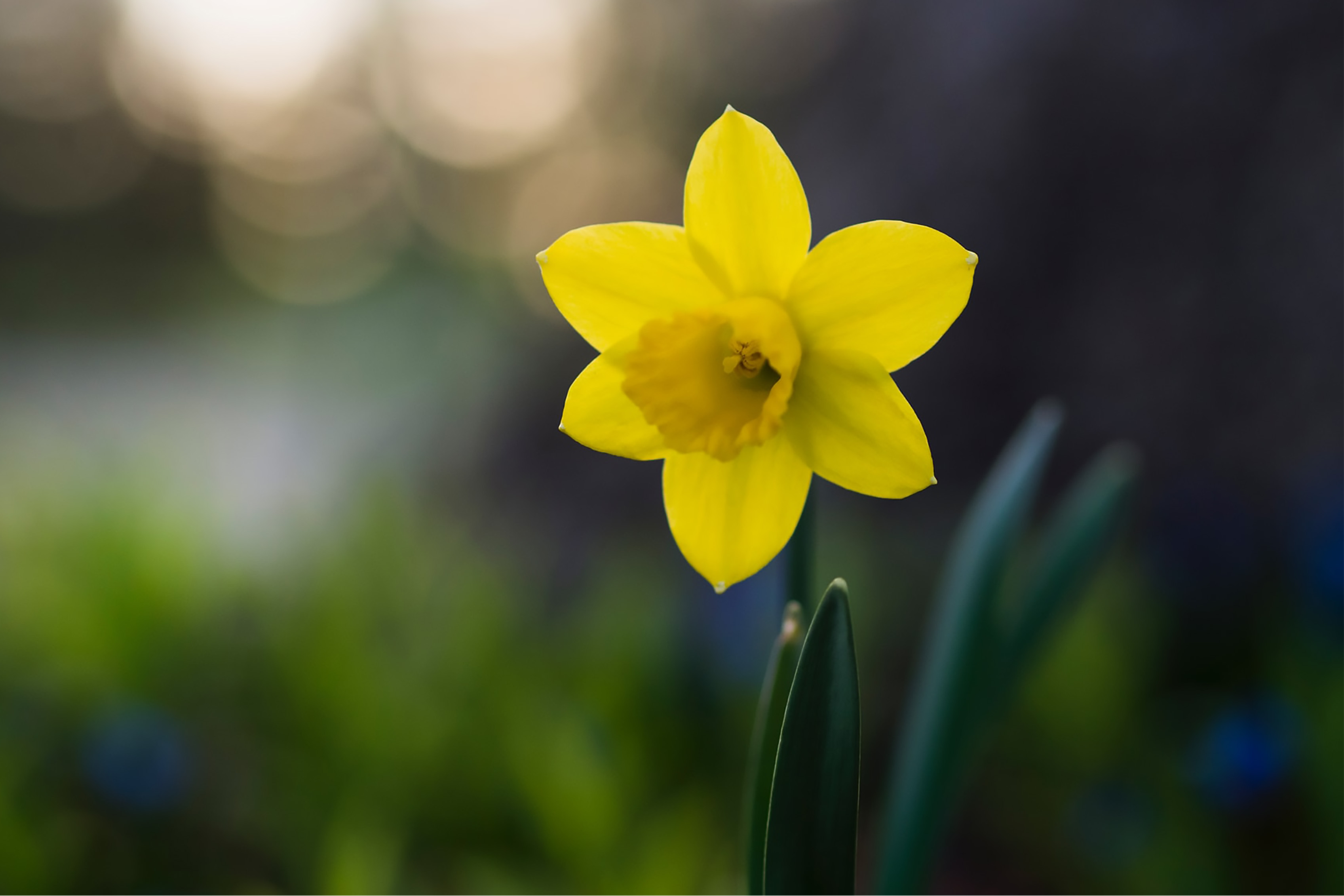 It's Springtime at Audley | Audley Villages
