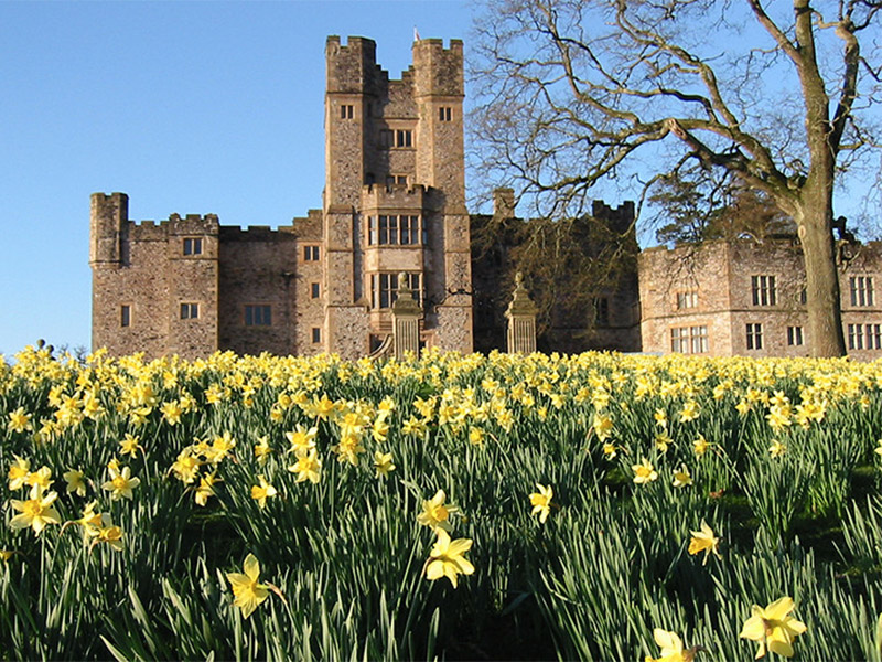 Audley Flete House | Retiremove