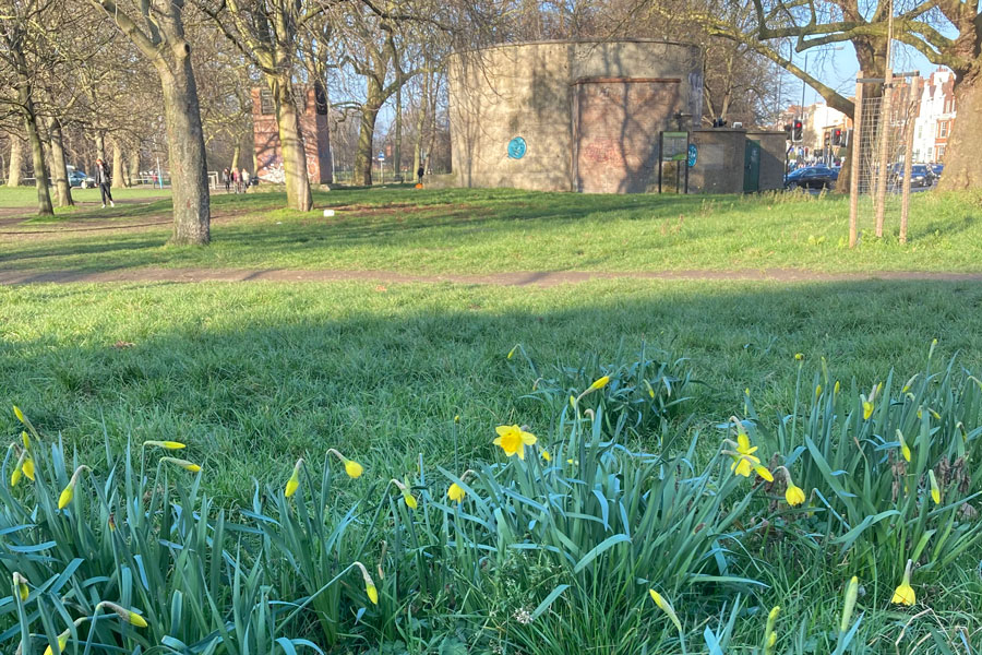 Spring has sprung on Clapham Common | Audley Villages